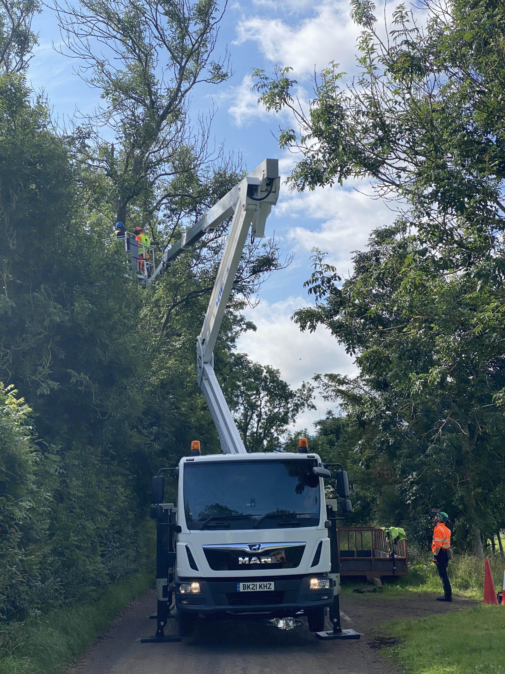 Safe use of a MEWP for tree work - Warren Access blog